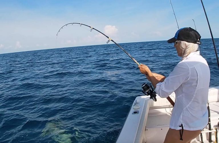 How to Catch Grouper – the Ultimate Guide! – Franklin North Carolina ...